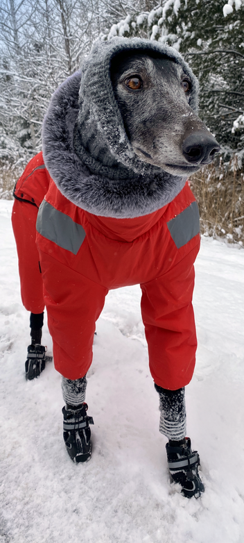 HunnyBoots.com – HunnyBoots Australia